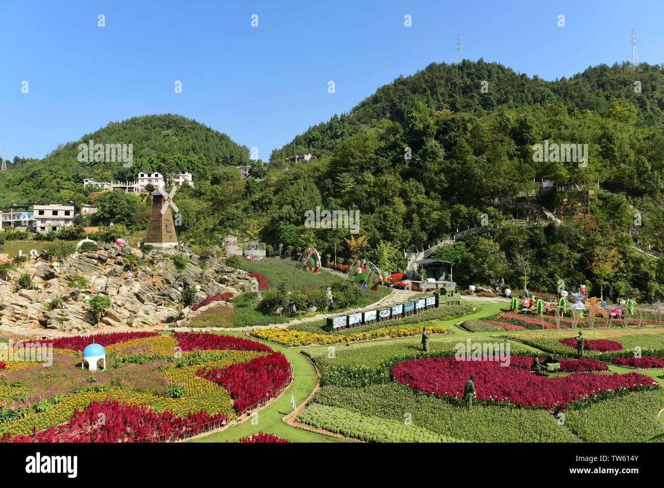 Flower sea scenery Stock Photo - Alamy