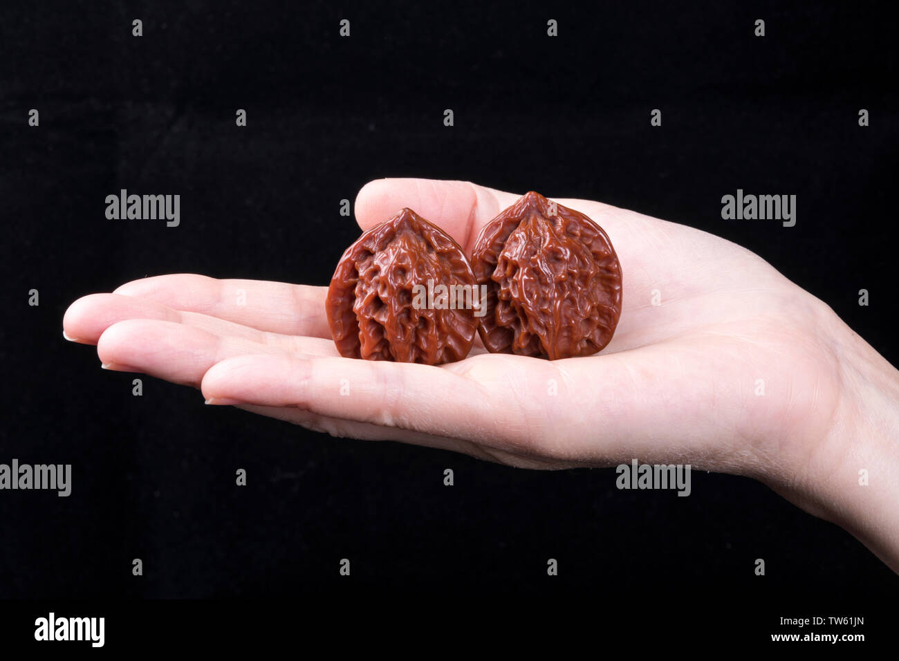 Lion head walnut hi-res stock photography and images - Alamy