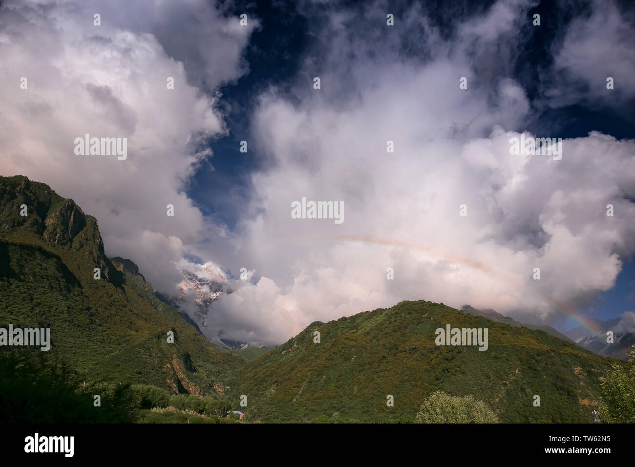 Lulang town, Yingzhi City, Tibet Autonomous Region Stock Photo - Alamy