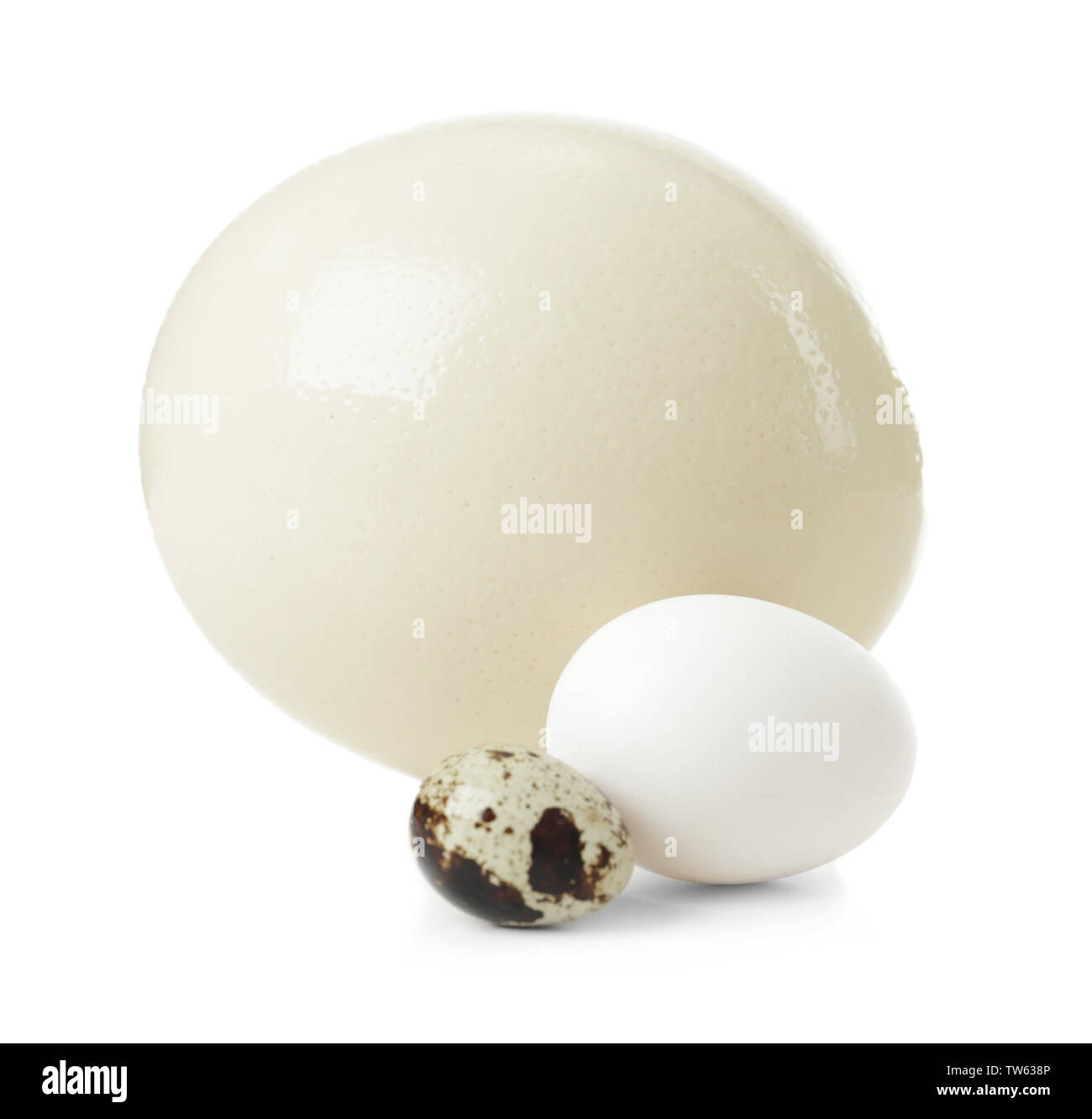 Ostrich, chicken and quail eggs on white background Stock Photo - Alamy