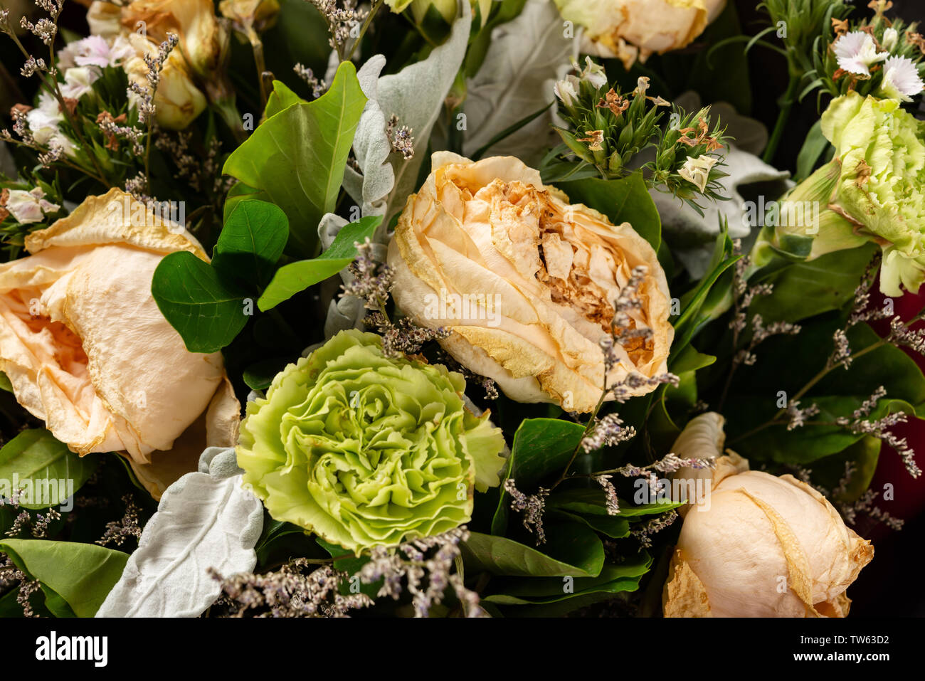 Dead shriveled flowers hi-res stock photography and images - Alamy