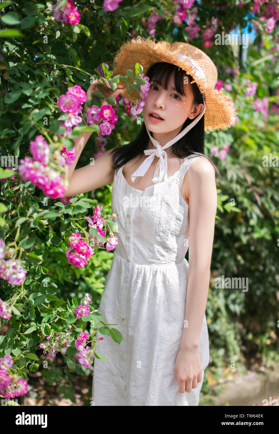 The rose figures Stock Photo - Alamy