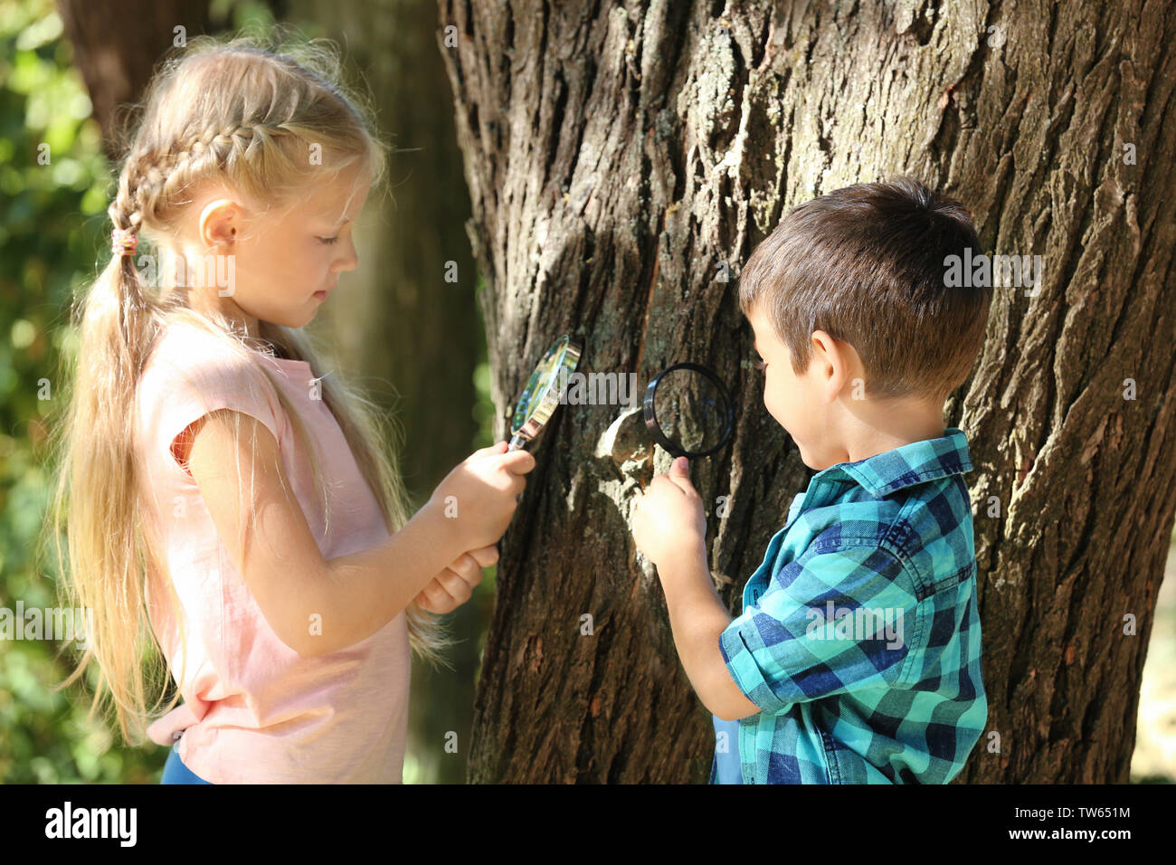 Cute little children looking at tree bark through magnifying glasses in ...