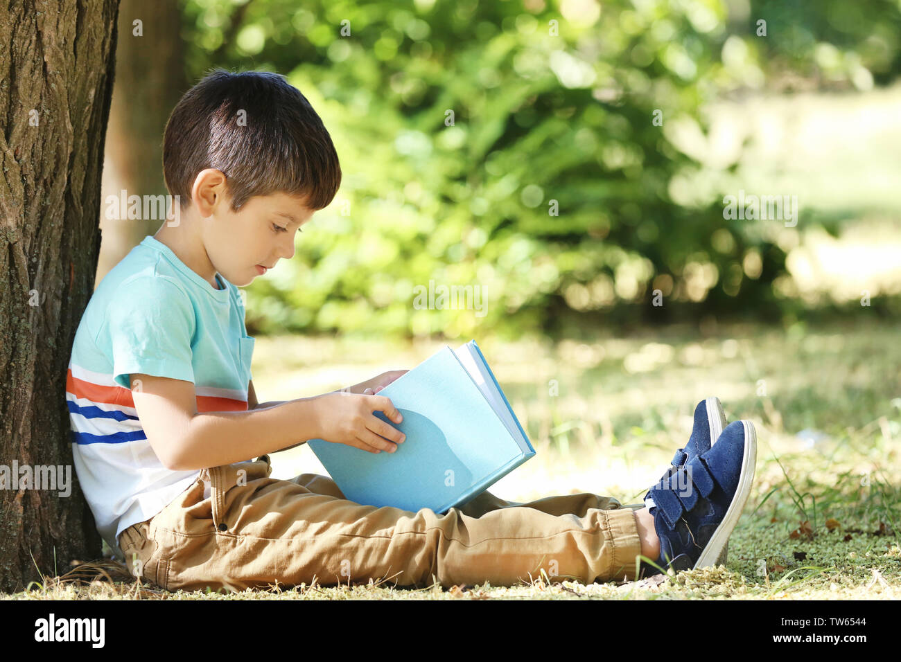 Cute little boy reading book near tree in park Stock Photo - Alamy