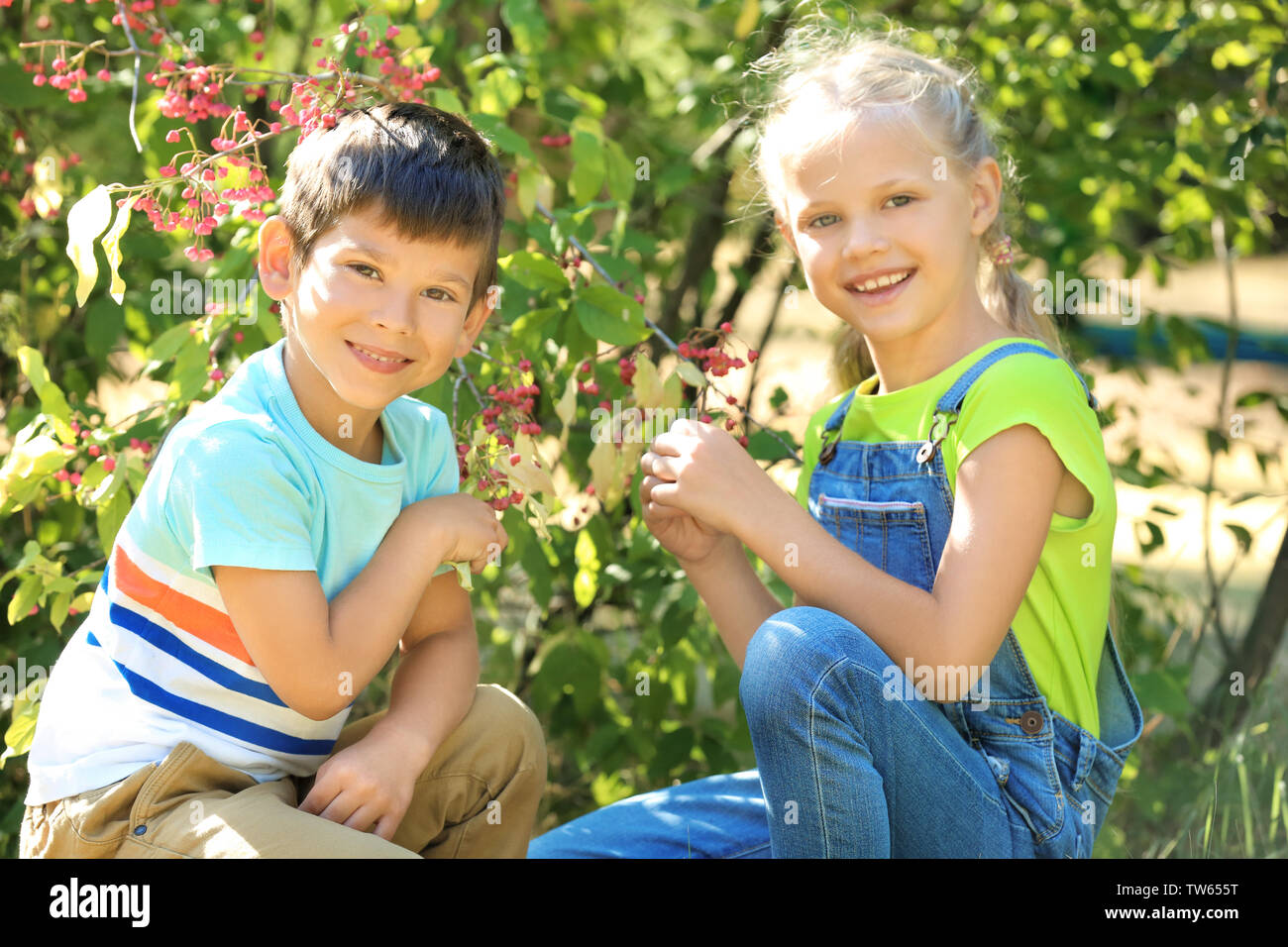 Little children sitting near bush in park Stock Photo - Alamy