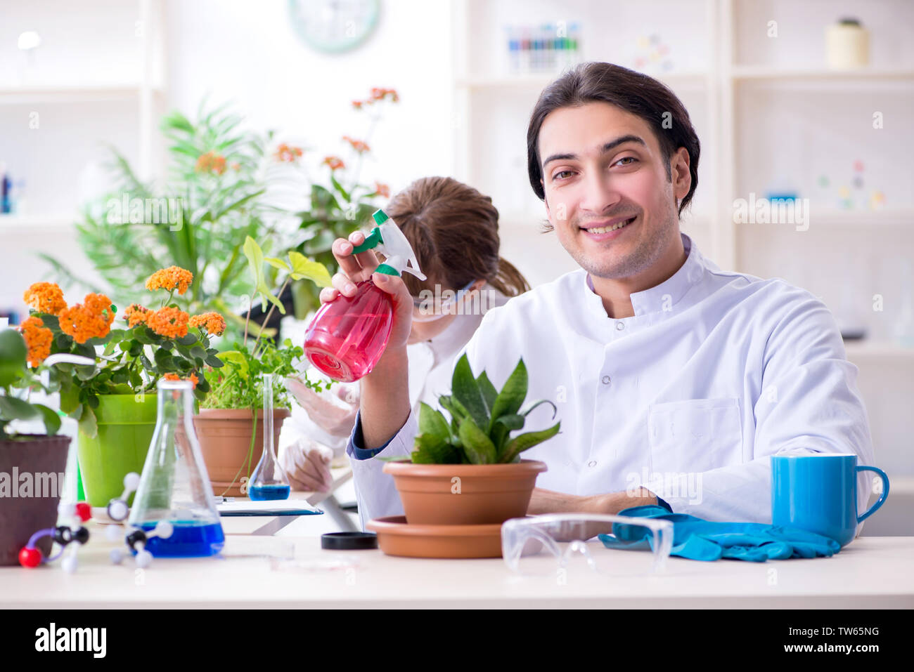 The two young botanist working in the lab Stock Photo - Alamy