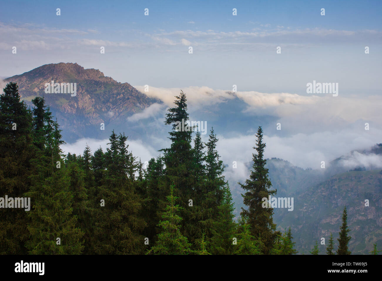 Overlooking Tianchi, Tianchi Stock Photo - Alamy