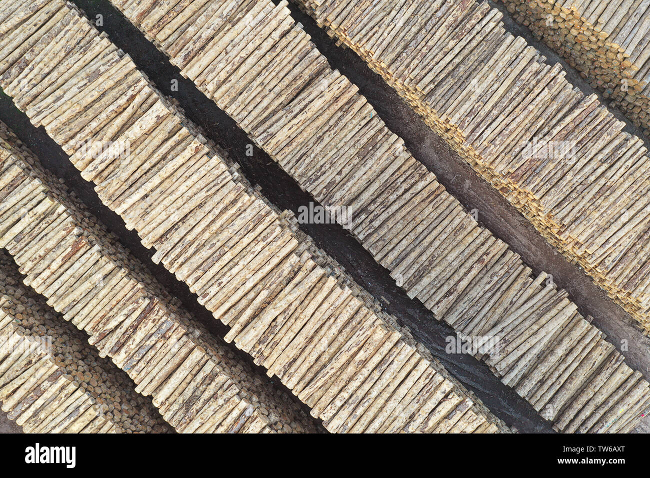 A neatly stacked log Stock Photo - Alamy