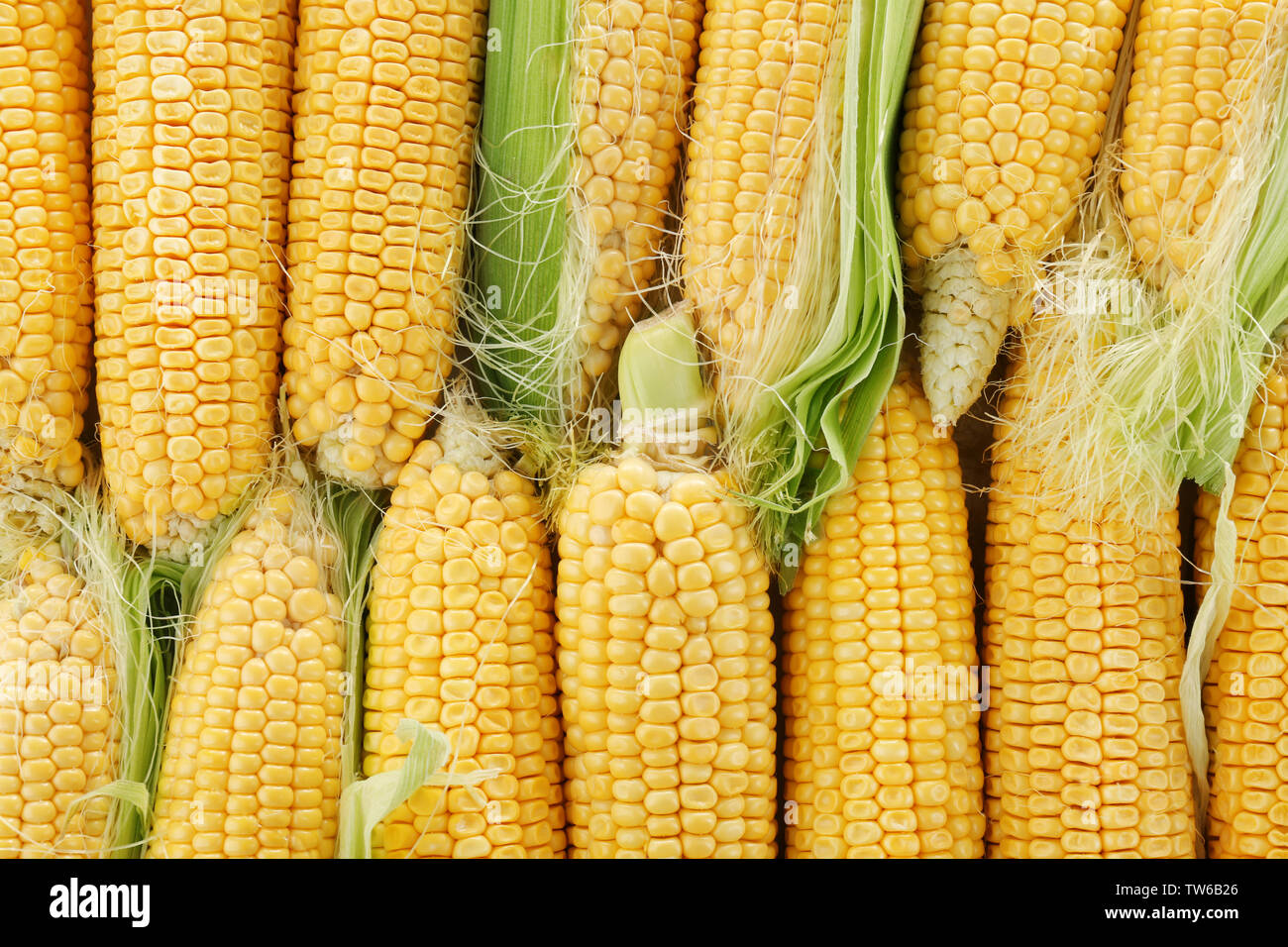 Wallpaper sweetcorn hi-res stock photography and images - Alamy