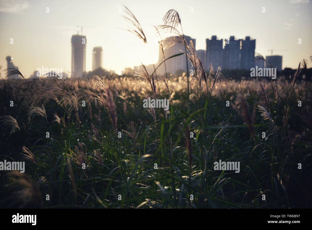 Creative scenery map Stock Photo - Alamy