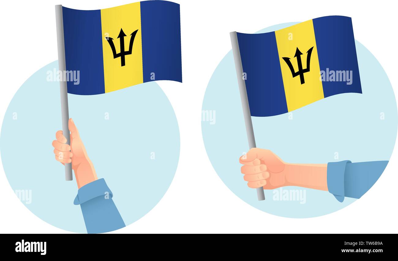 Barbados flag in hand. Patriotic background. National flag of Barbados ...
