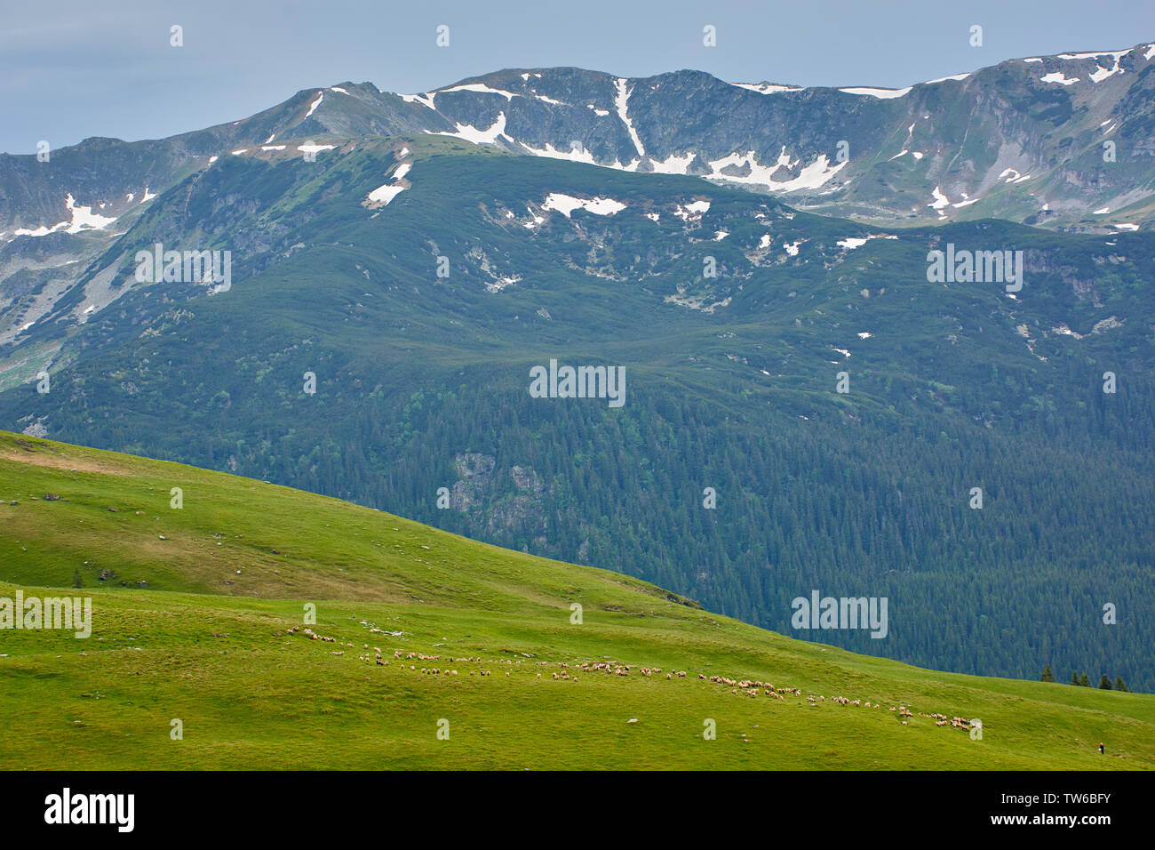 Landscape with mountain range and meadows Stock Photo - Alamy