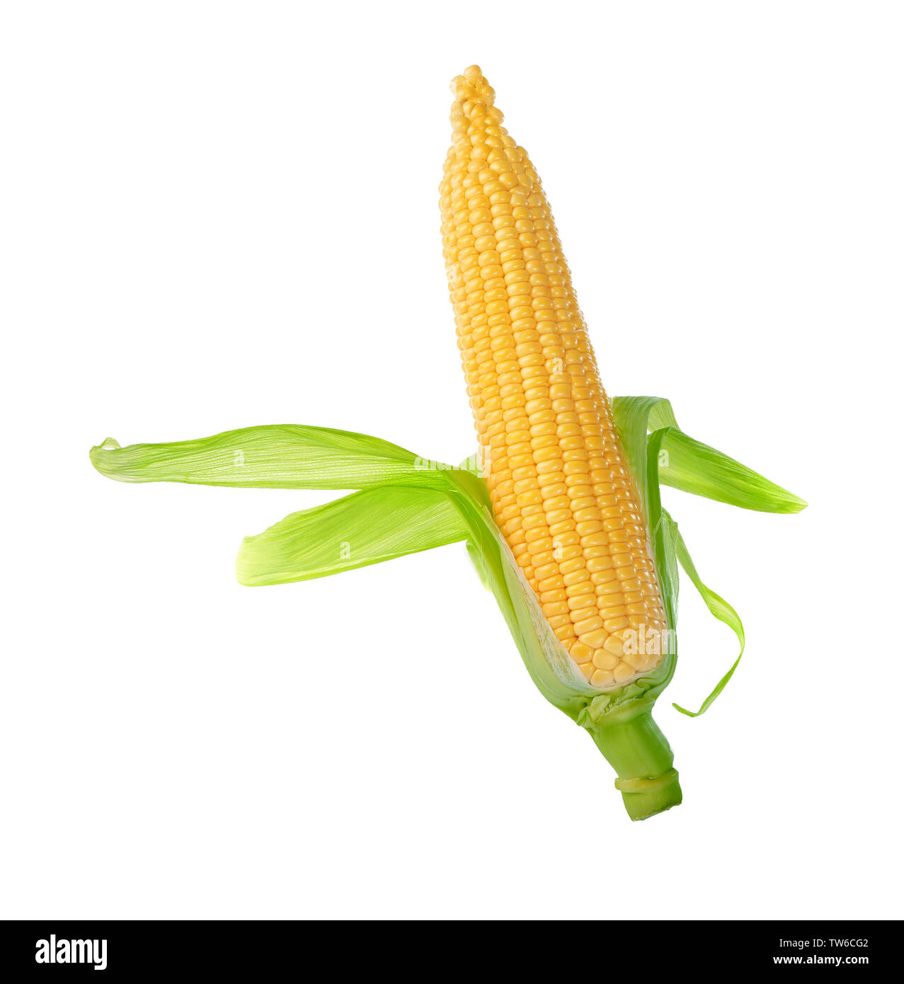 Fresh corn cob, isolated on white Stock Photo - Alamy
