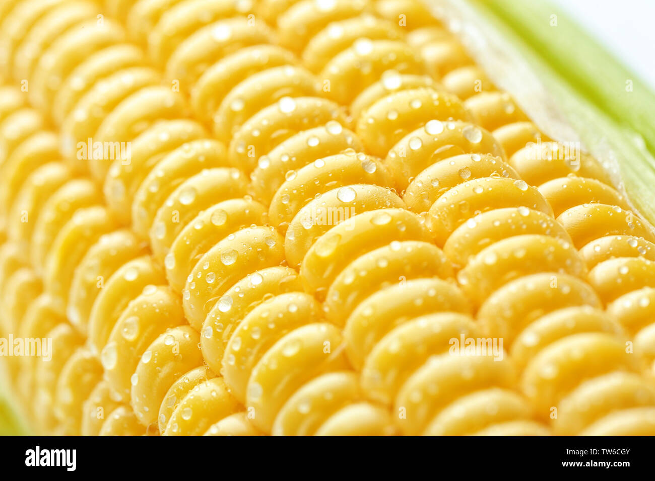 Fresh corn cob, close up view Stock Photo - Alamy