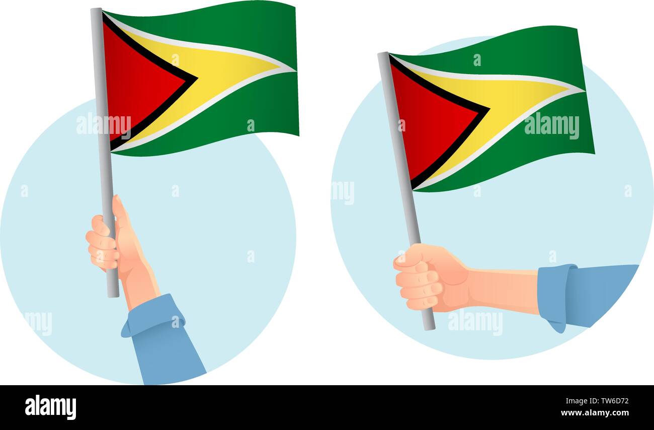 Guyana flag in hand. Patriotic background. National flag of Guyana vector illustration Stock ...