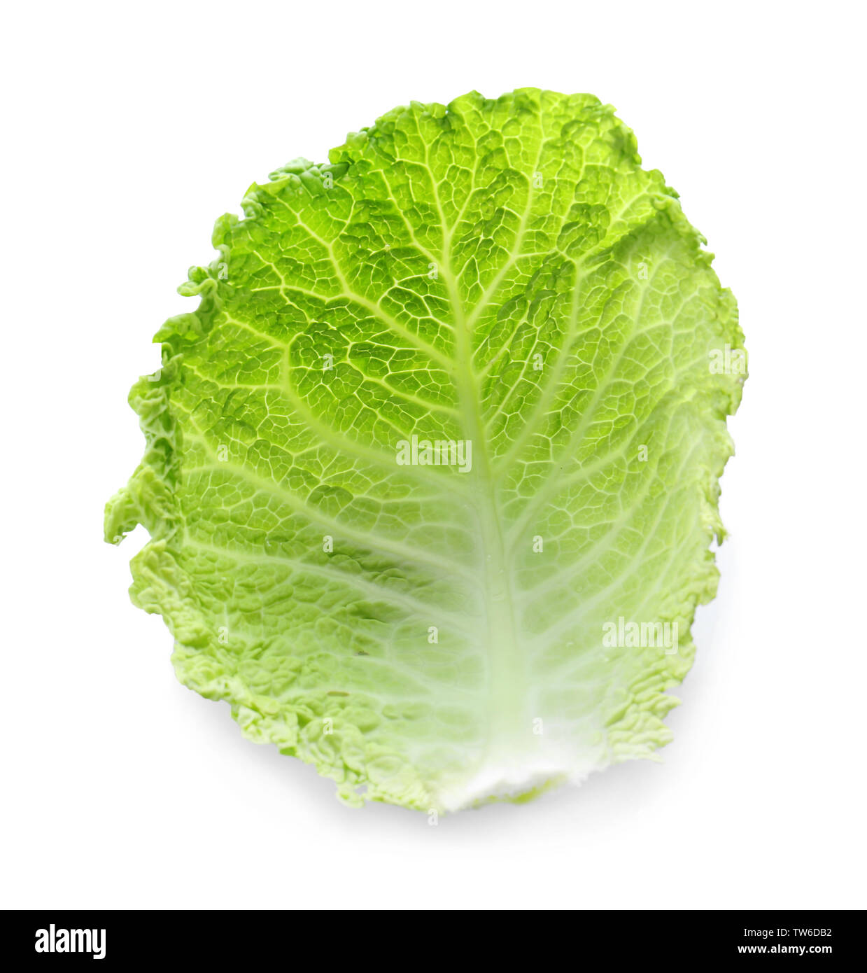 Fresh green cabbage leaf on white background Stock Photo - Alamy