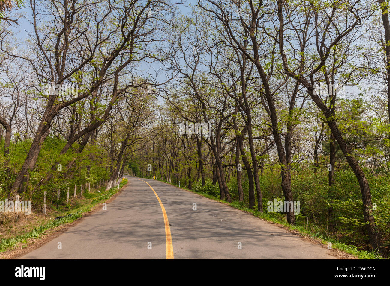 Road guide with nature and wood landscape hi-res stock photography and ...