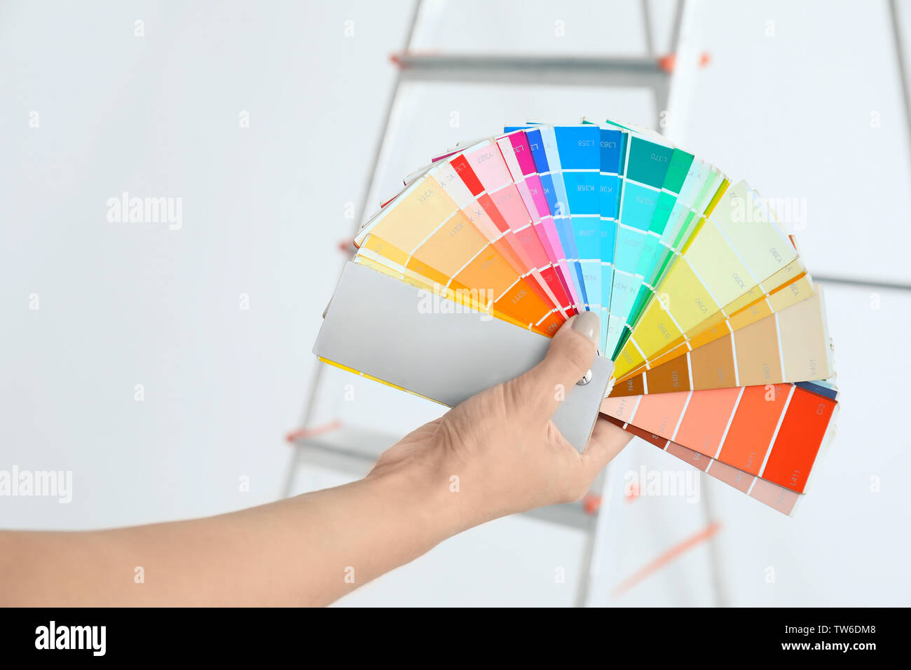 Young female decorator with color palette samples near ladder on white ...