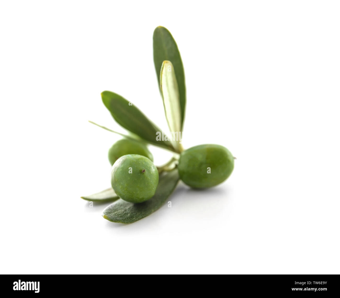 Olive twig, isolated on white Stock Photo - Alamy