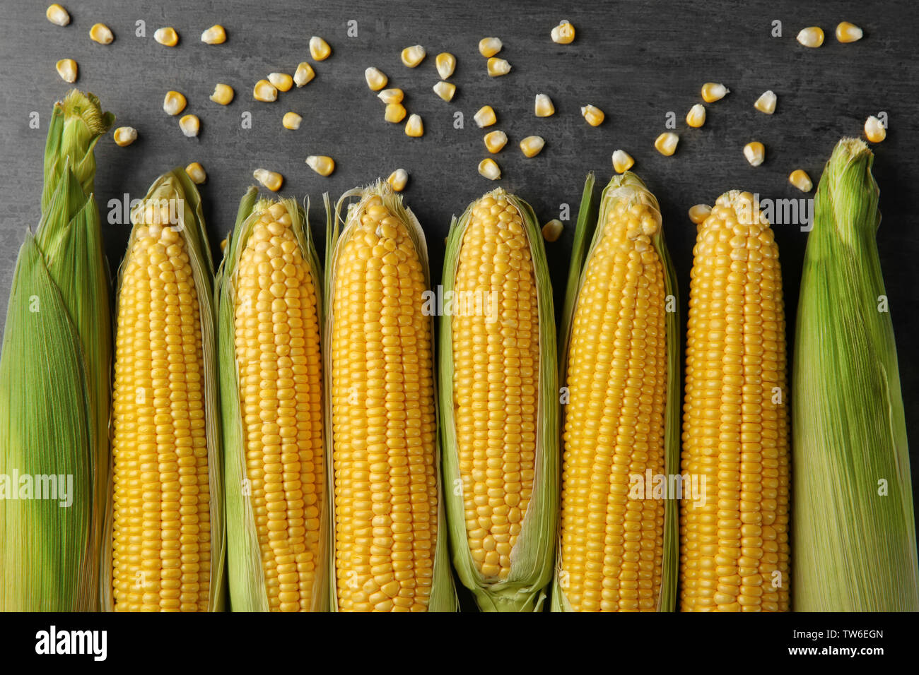 Fresh corn cobs on grey background Stock Photo - Alamy