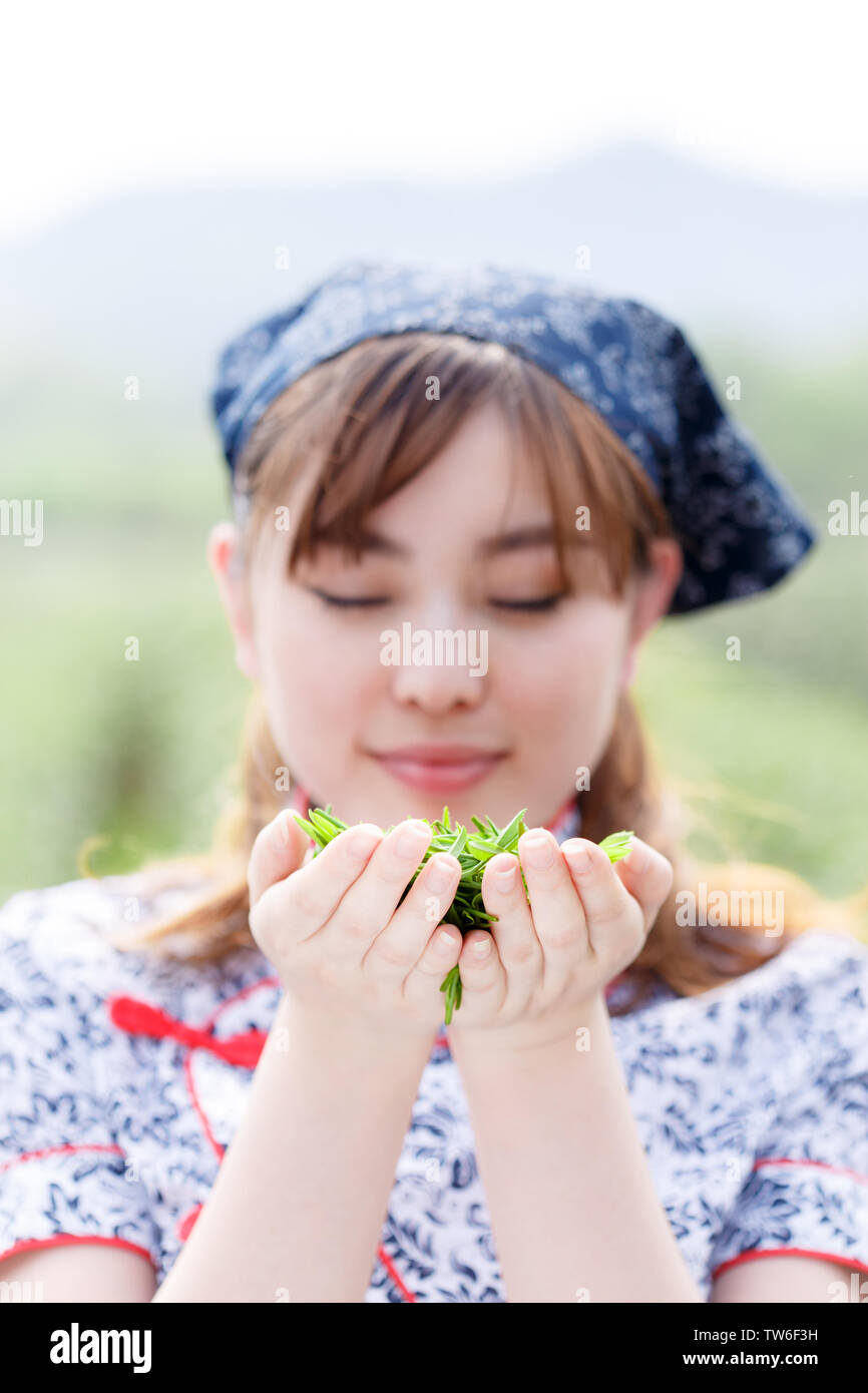Asian beautiful tea girl in photography Stock Photo - Alamy