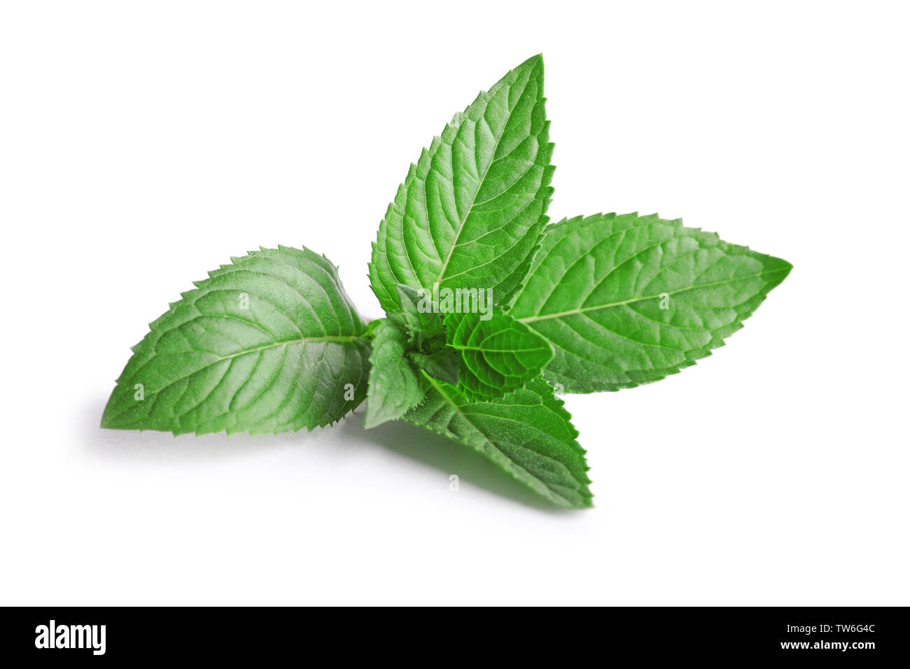 Fresh mint isolated on white Stock Photo - Alamy
