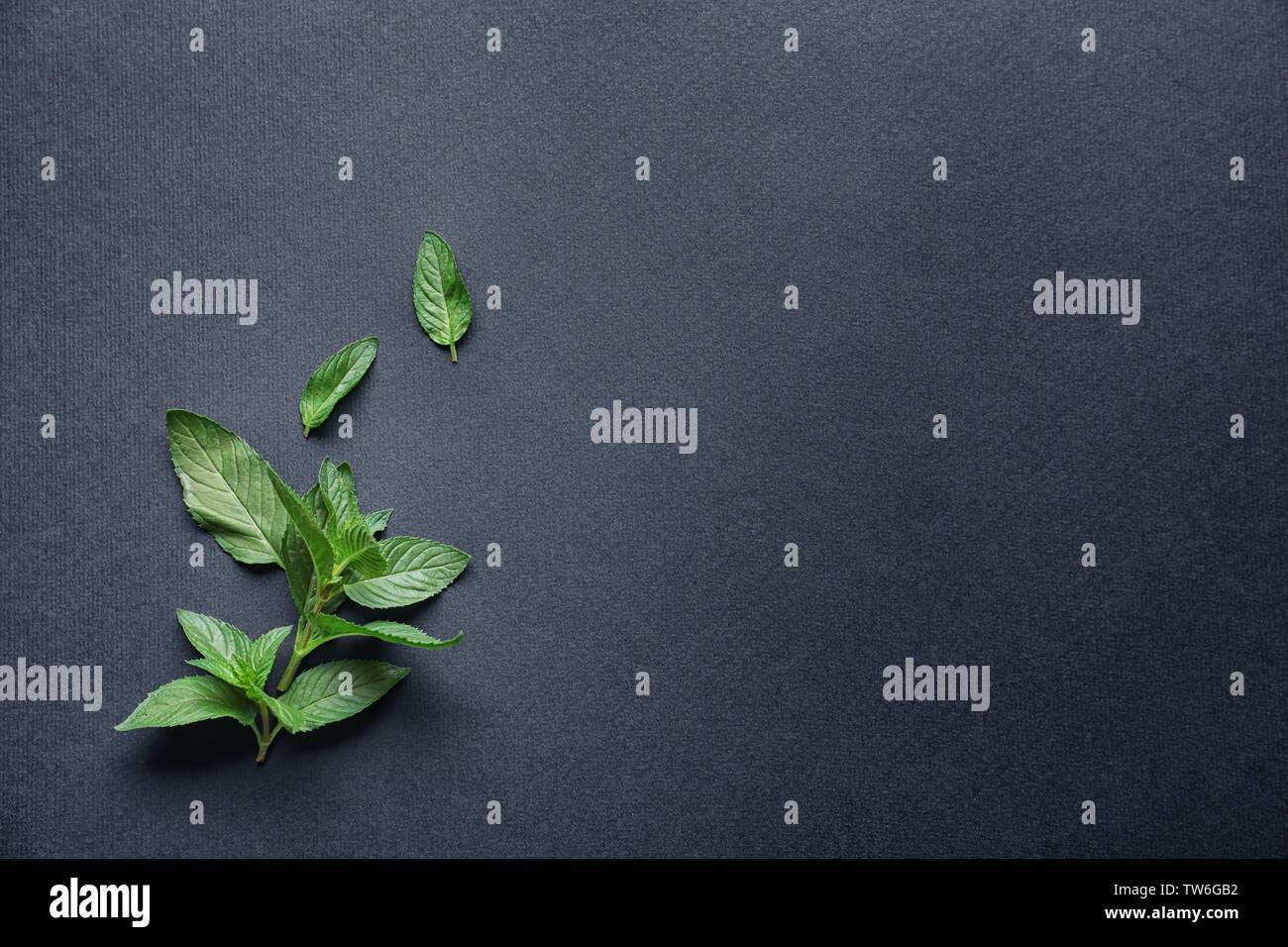 Fresh mint on dark hi-res stock photography and images - Alamy