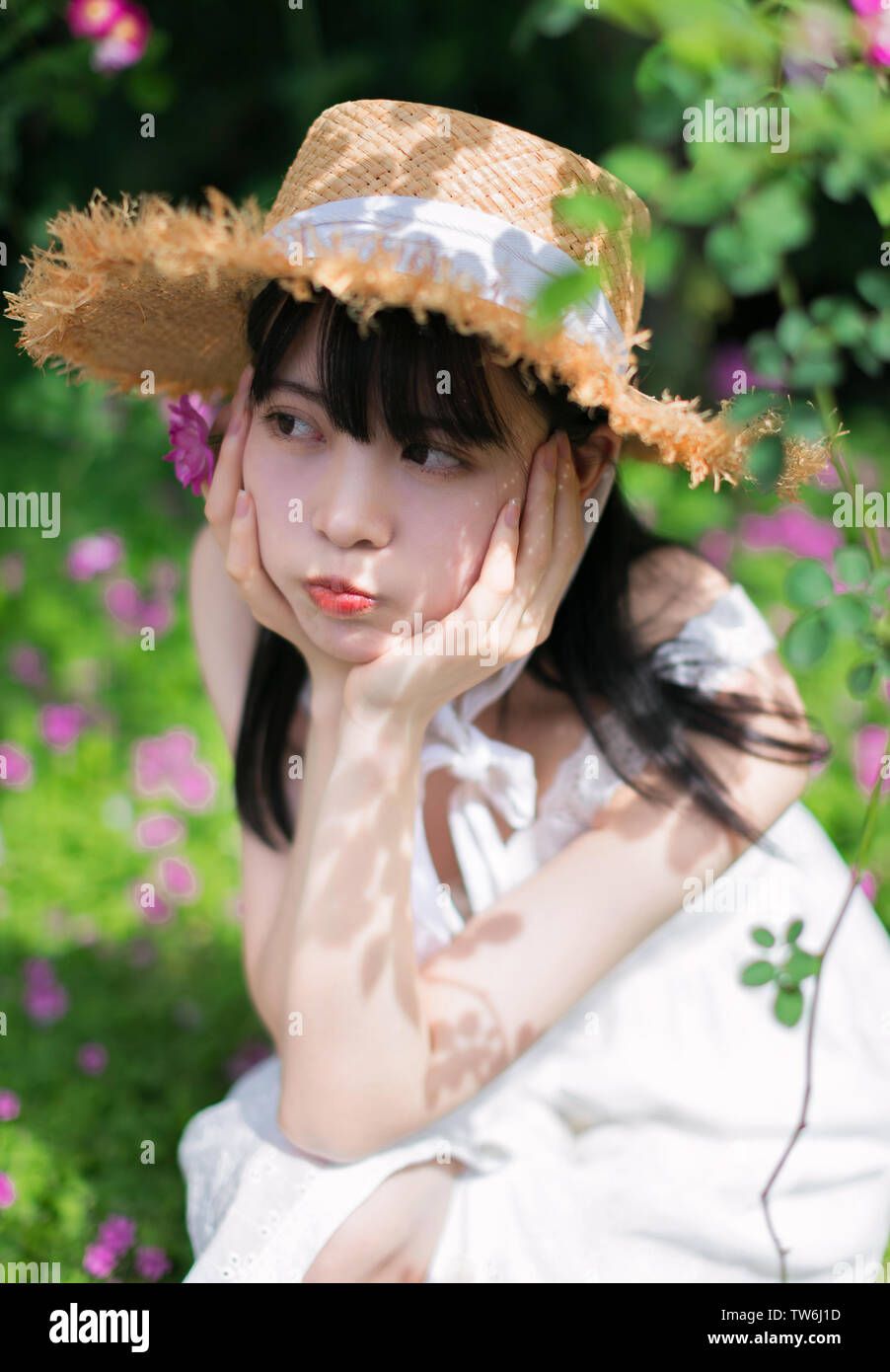 The rose figures Stock Photo - Alamy