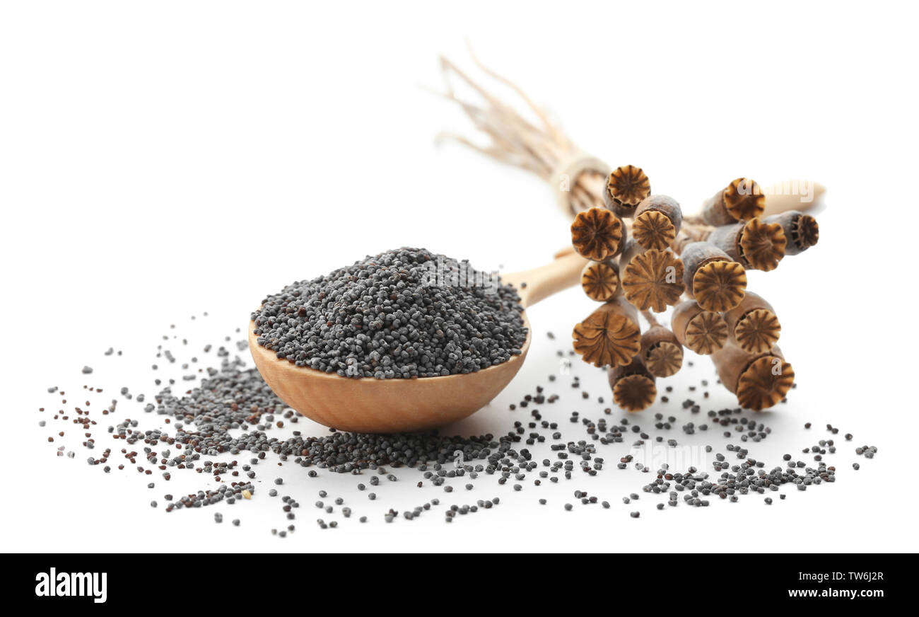 Poppy seeds and dried pods on white background Stock Photo - Alamy