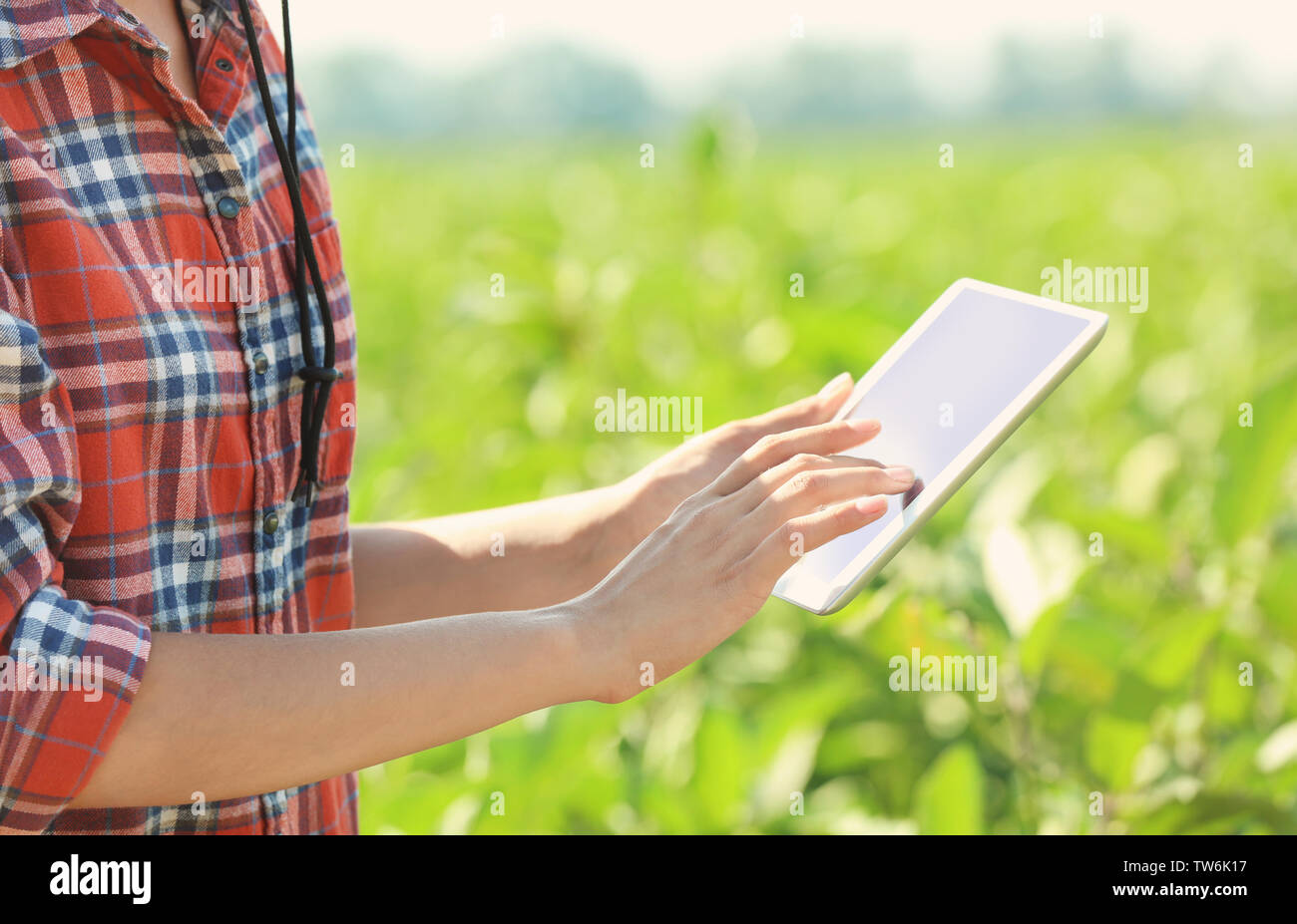 Female agronomist using tablet computer hi-res stock photography and ...