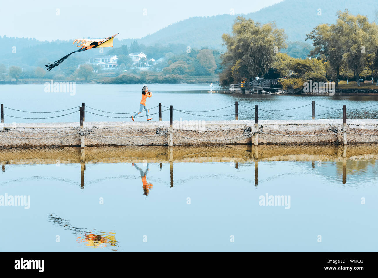 This is a set of reconstruction diagrams Stock Photo - Alamy