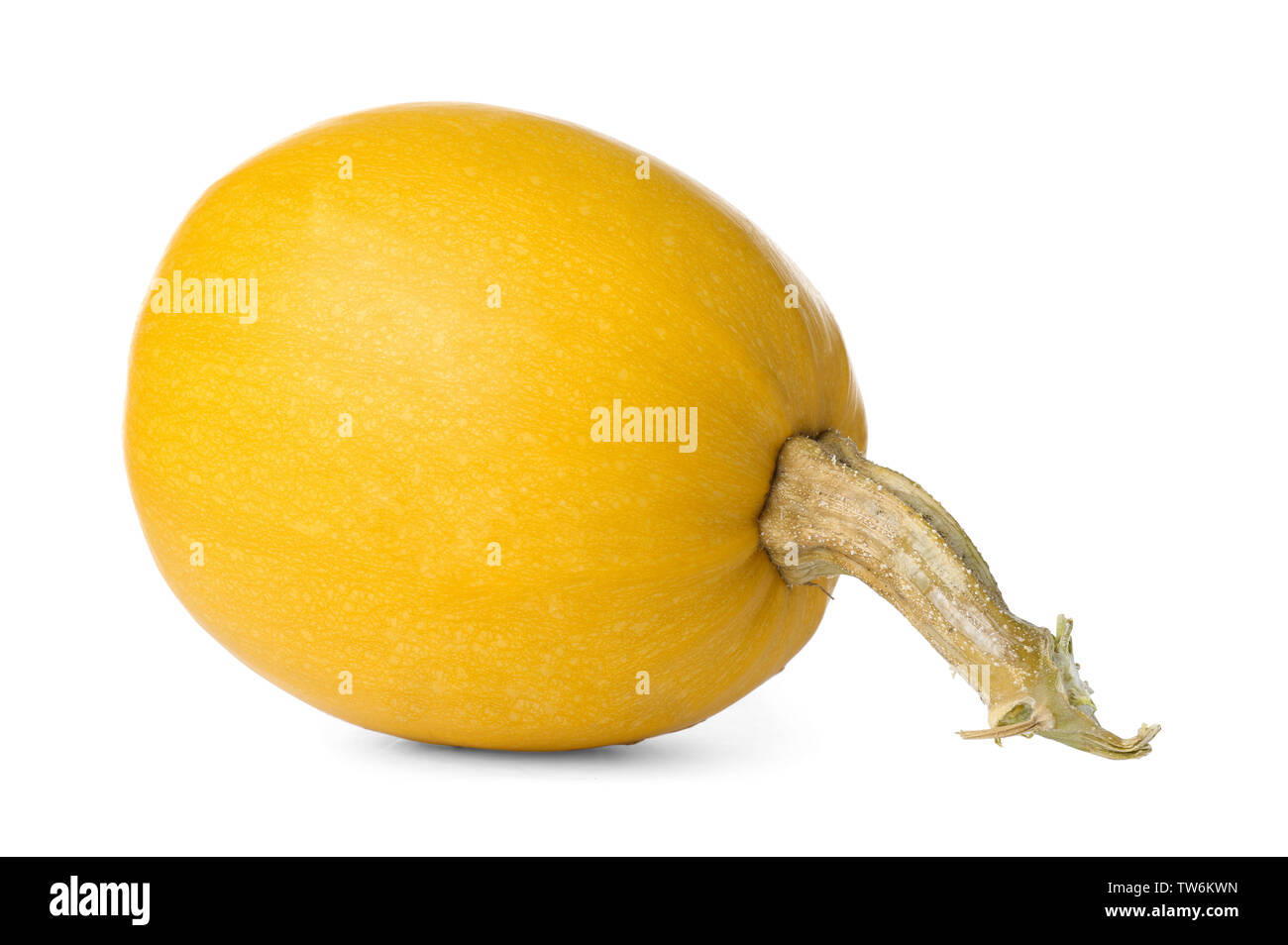 Ripe spaghetti squash on white background Stock Photo - Alamy