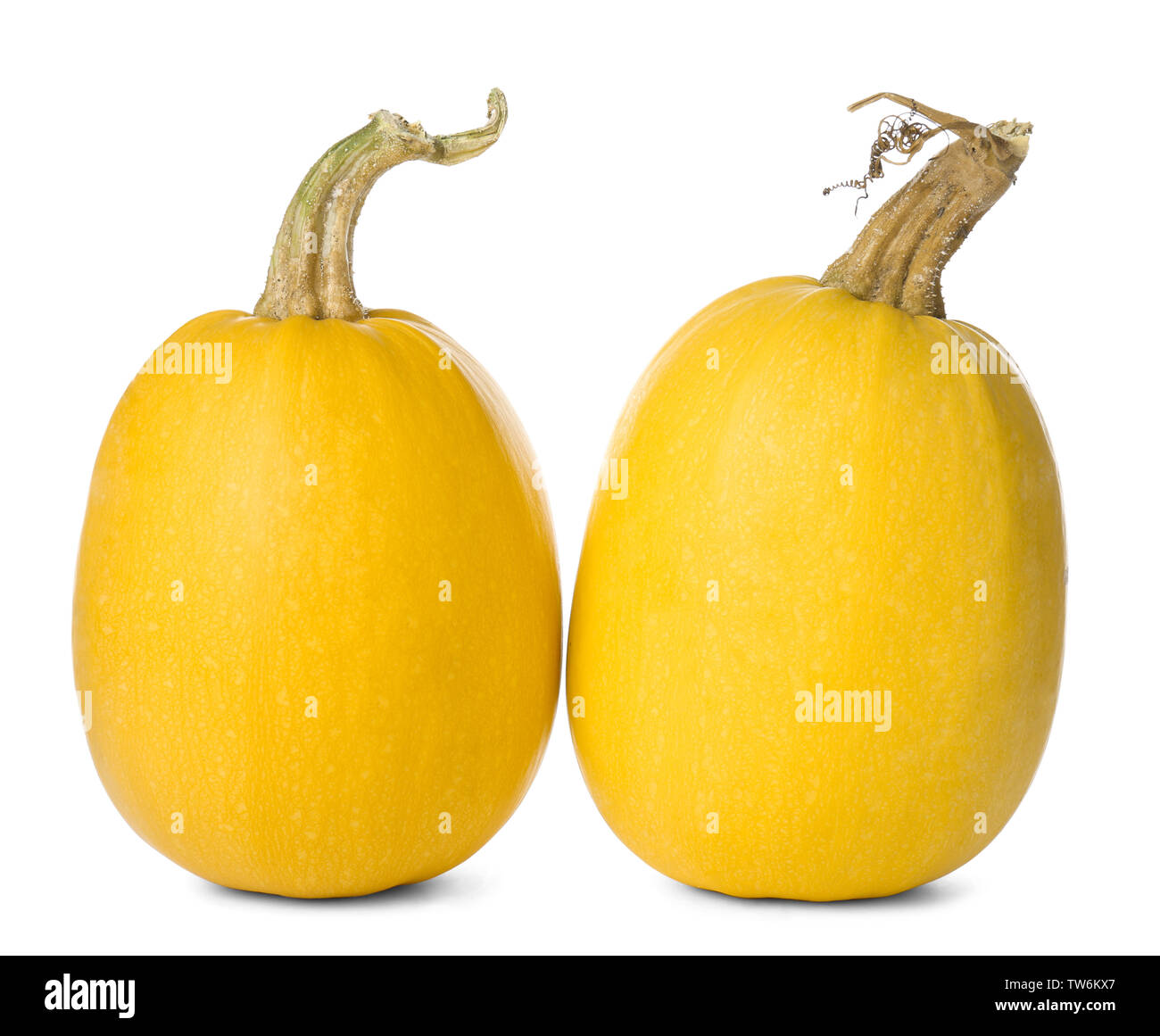 Spaghetti gourd hi-res stock photography and images - Alamy
