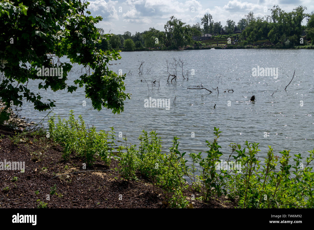 Lakeside overlooking the facing island Stock Photo - Alamy