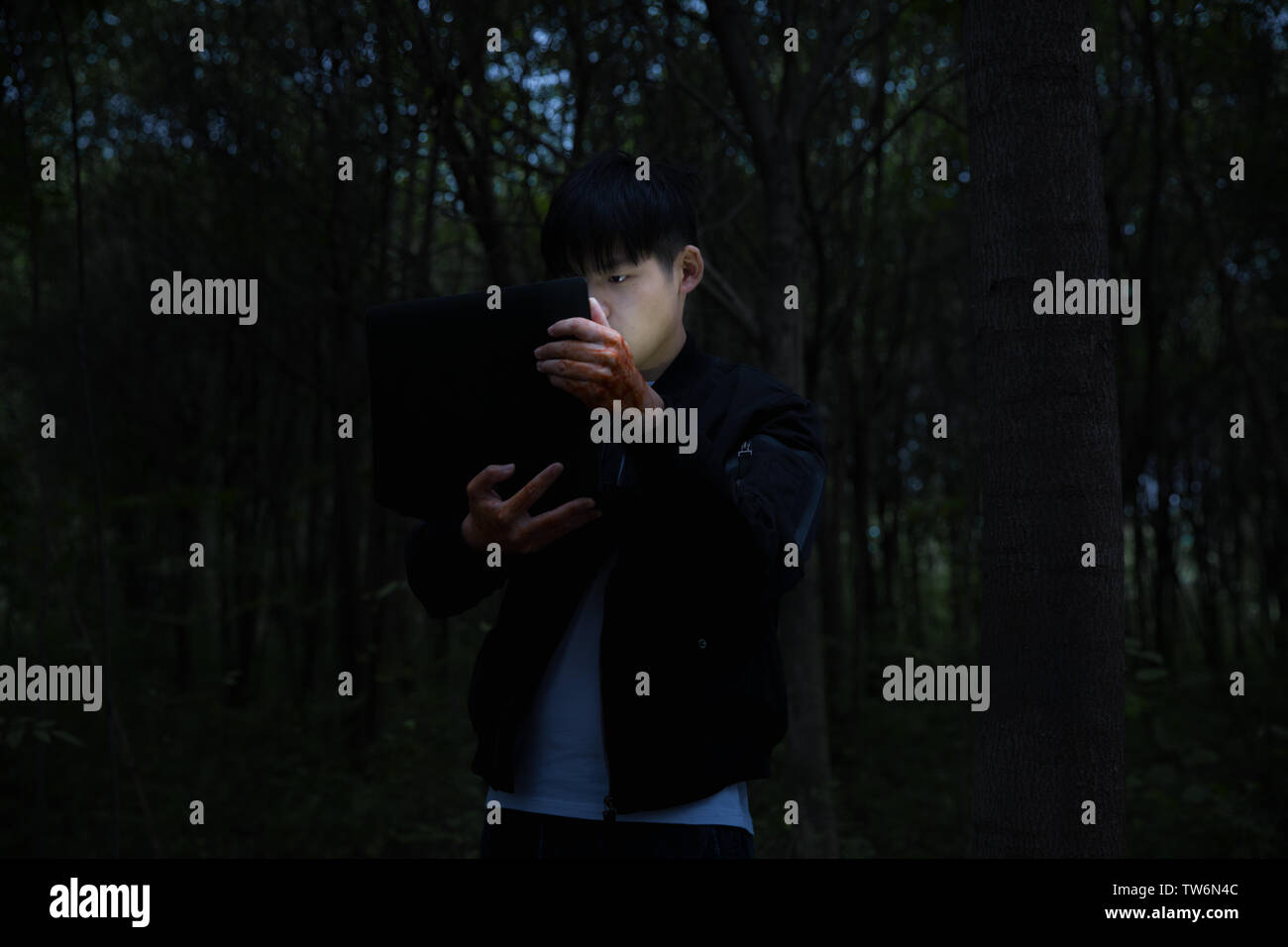 Daylight at midnight hi-res stock photography and images - Alamy