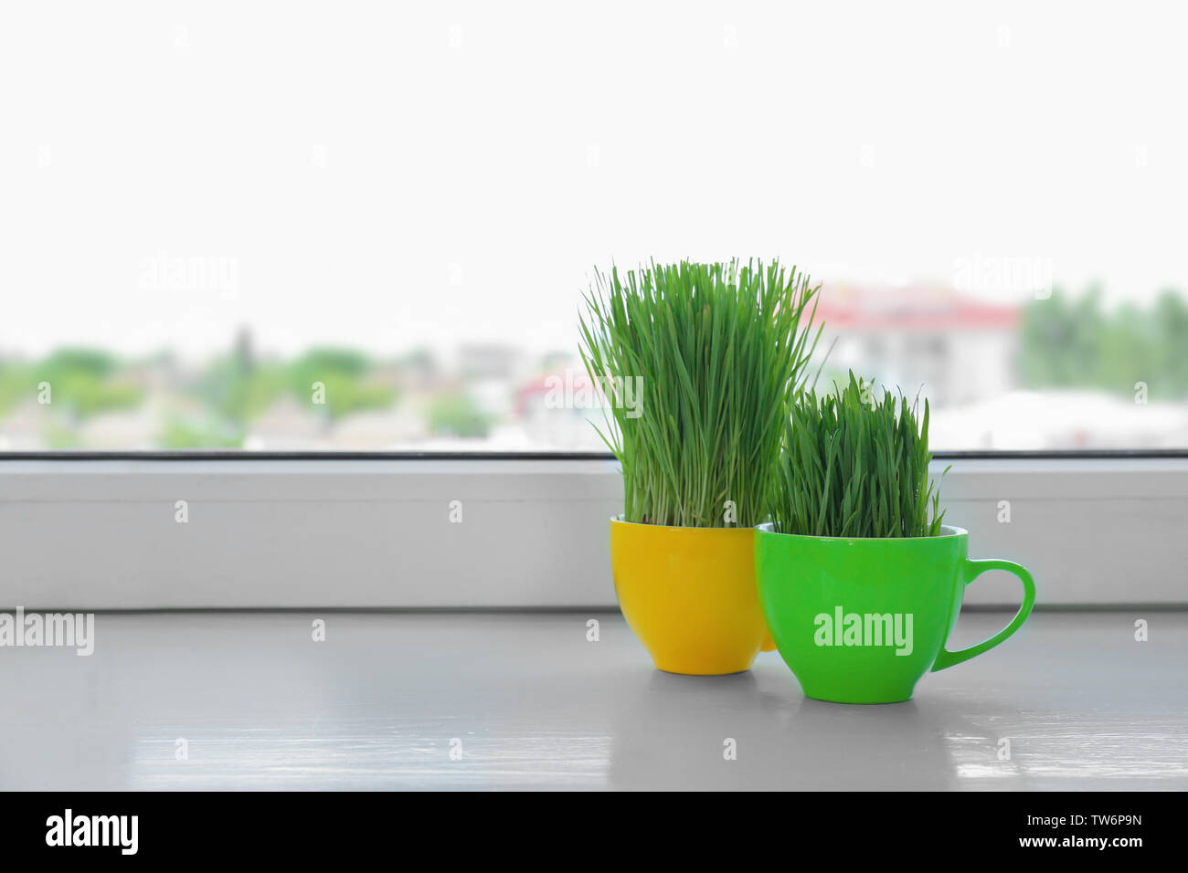 Grass on window hi-res stock photography and images - Alamy