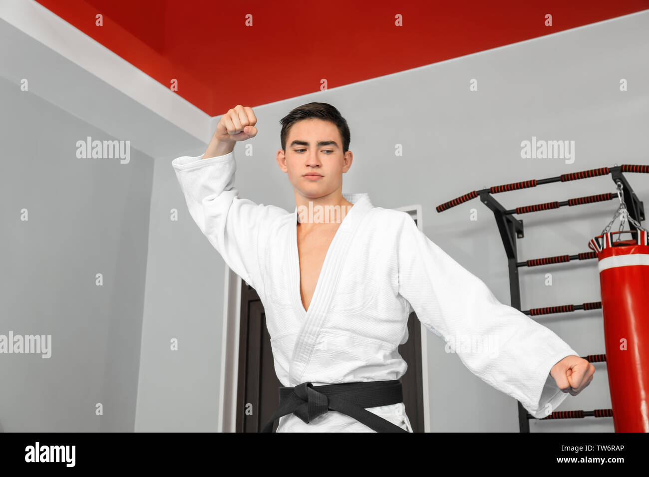 Karate fighter in dojo hi-res stock photography and images - Alamy