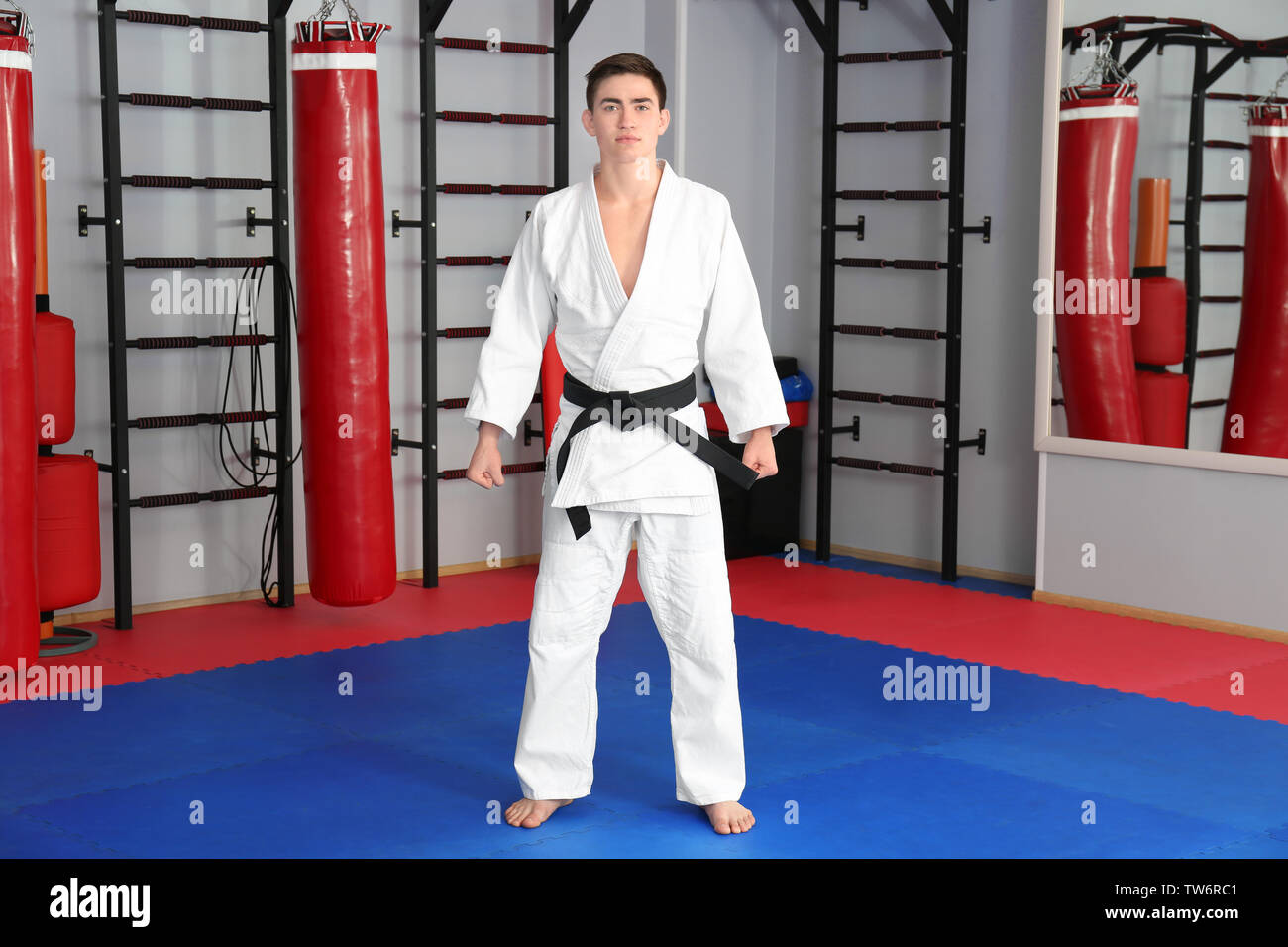 Male karate instructor in dojo Stock Photo - Alamy