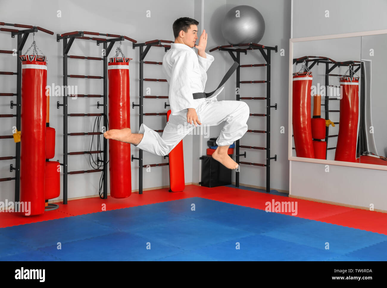 Male karate instructor in dojo Stock Photo - Alamy