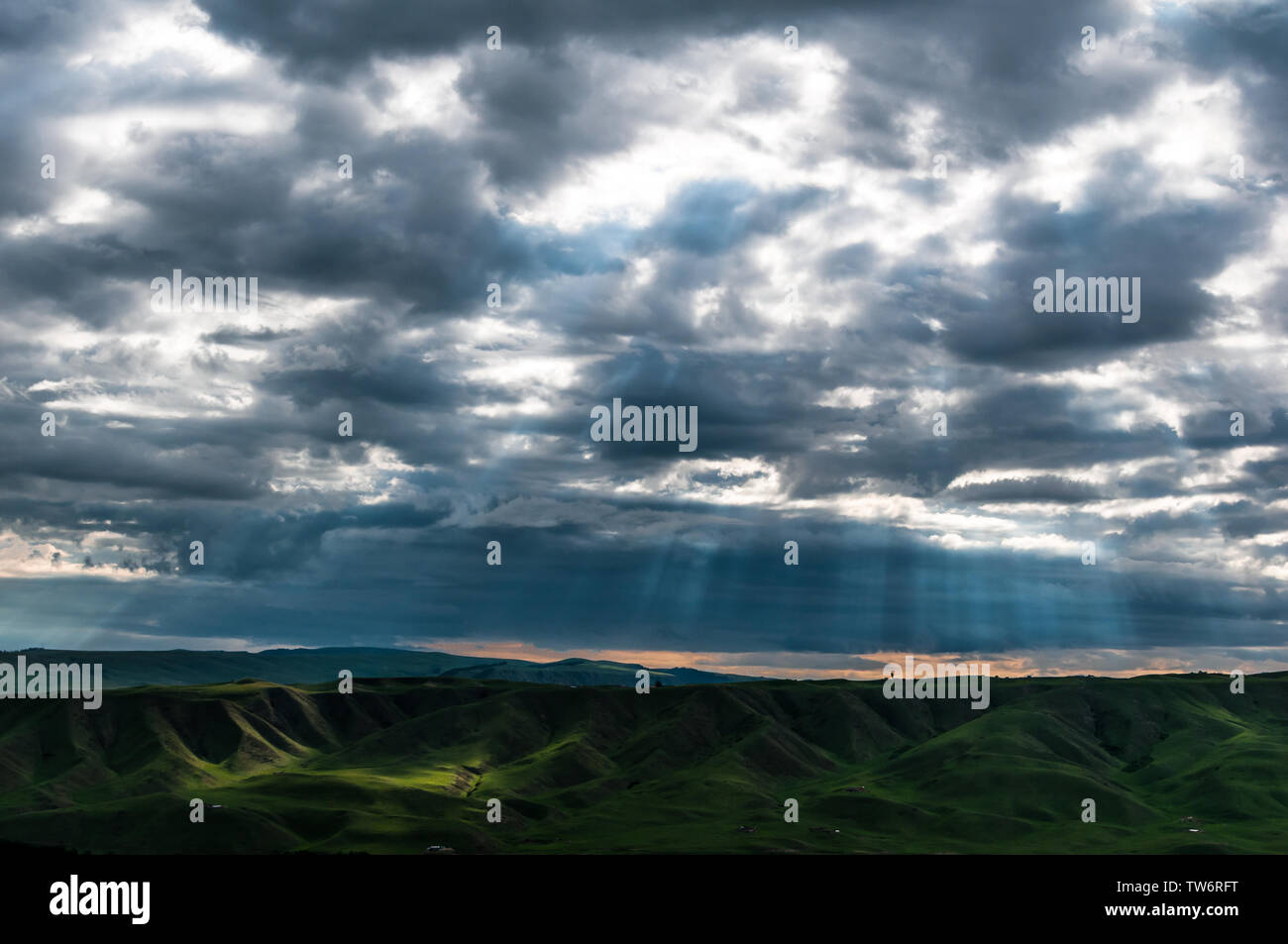 Comfortable weather joan kushtai hi-res stock photography and images ...