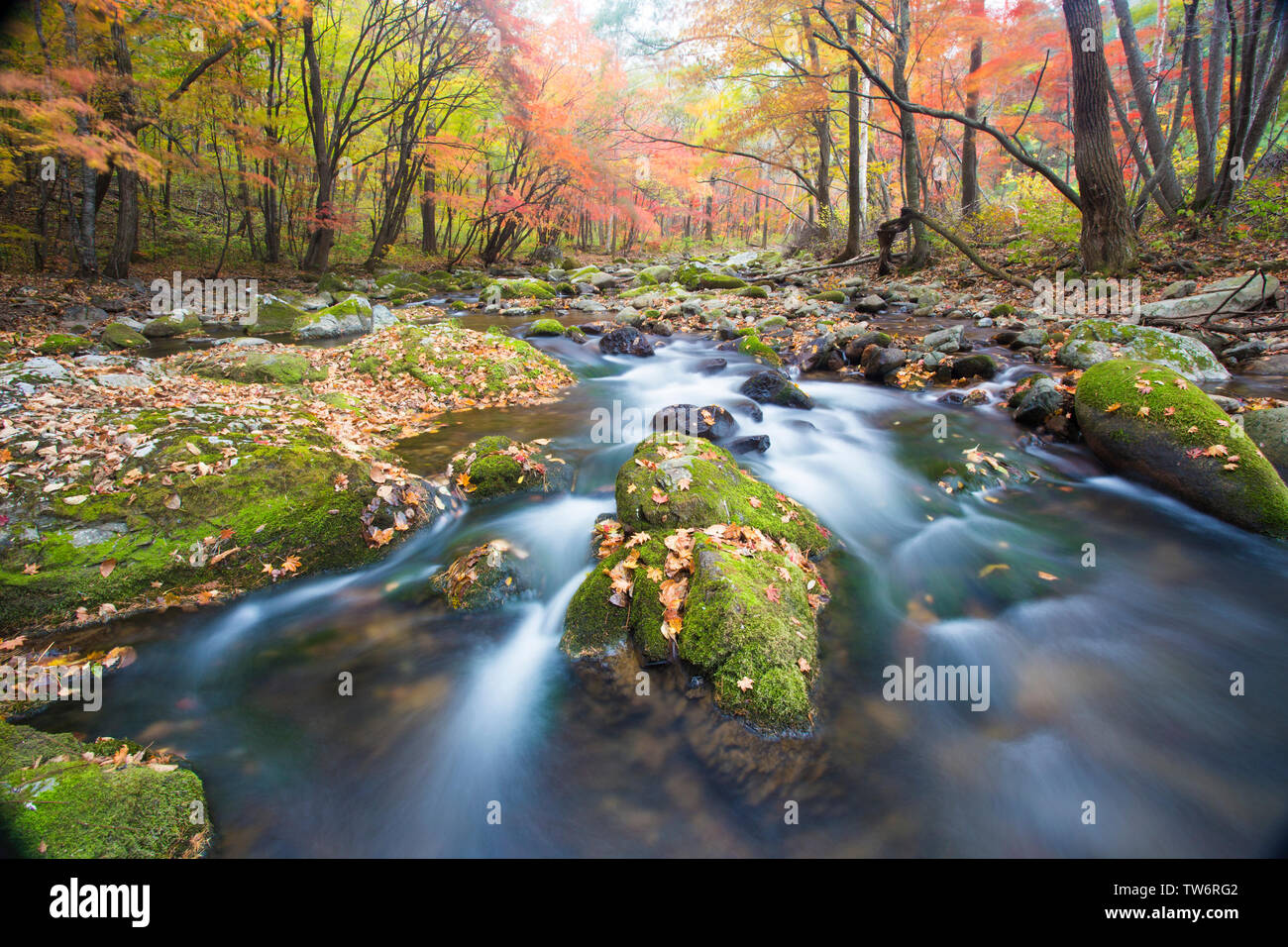 Old border ditch scenery Stock Photo - Alamy