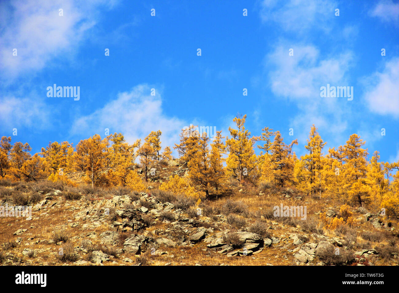 Kanas national park hi-res stock photography and images - Alamy