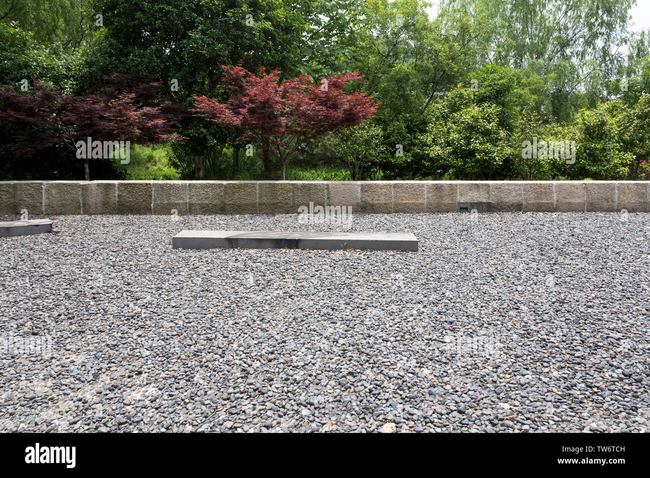 Empty sandstone ground in park with plant Stock Photo - Alamy