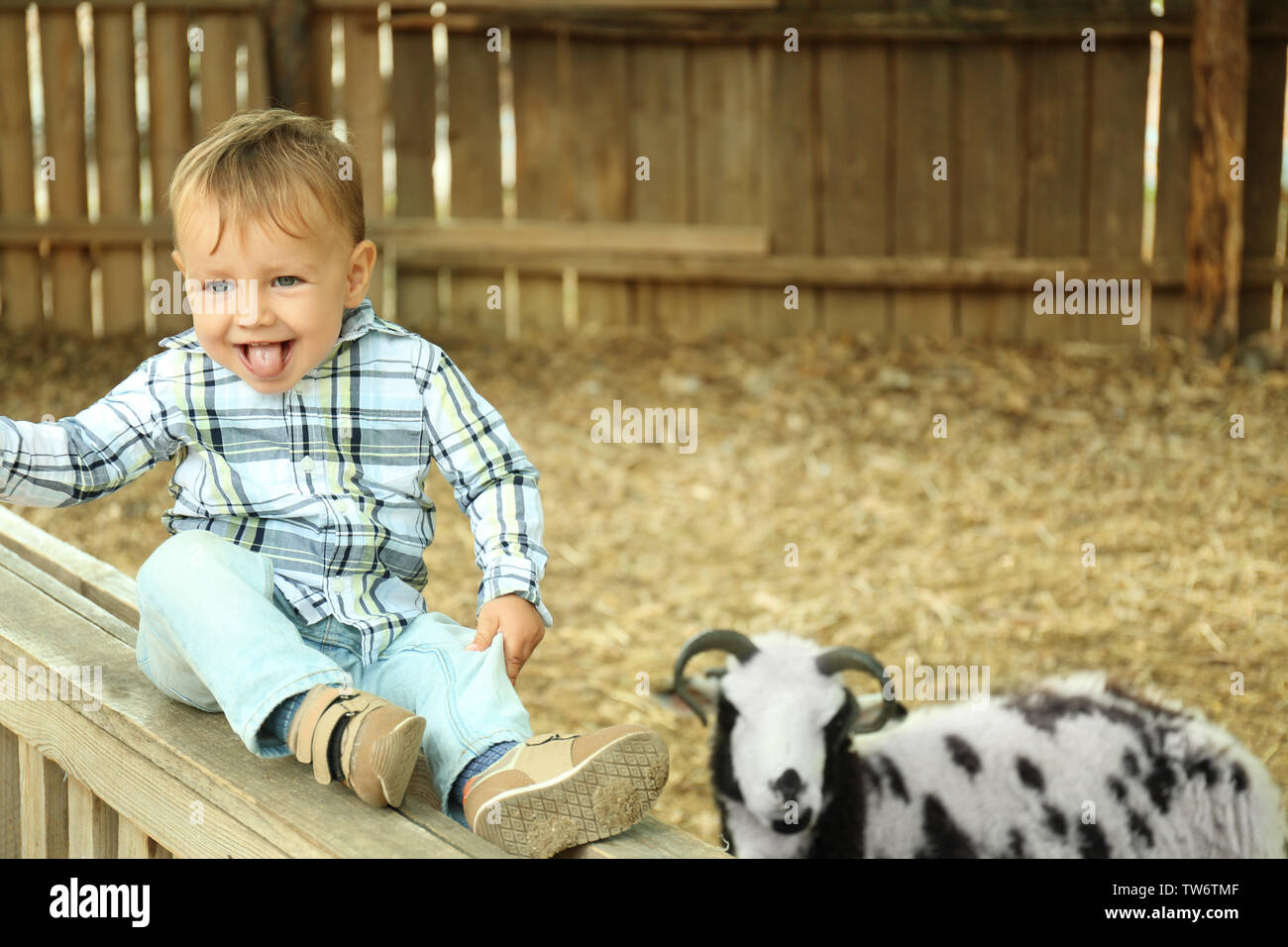 Cute little boy looking at sheep on farm Stock Photo - Alamy