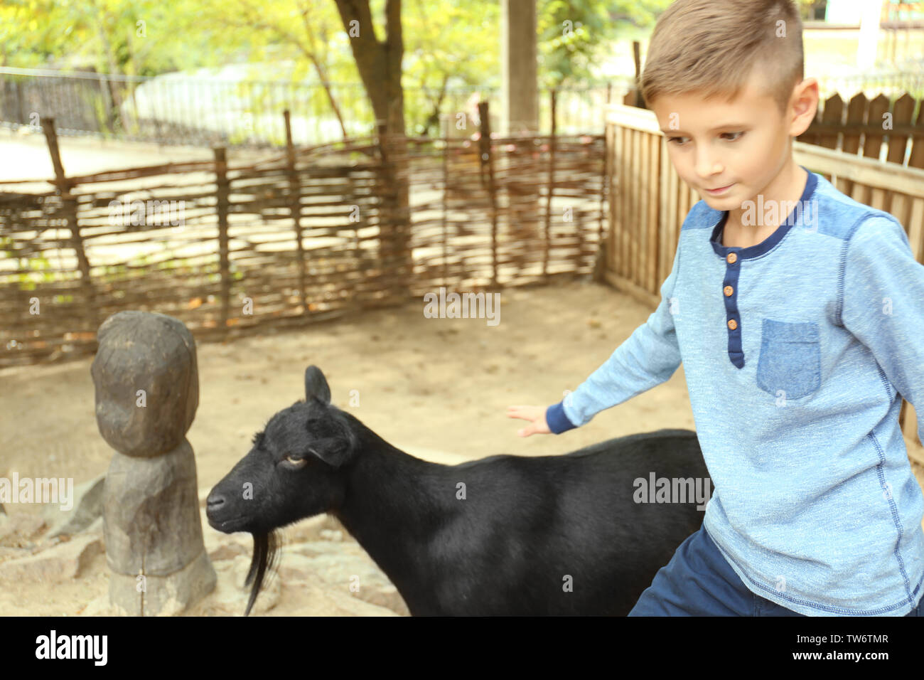 Cute little boy with goat on farm Stock Photo - Alamy