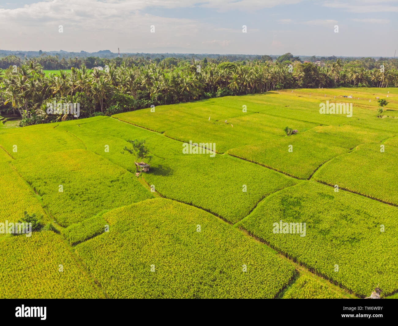 Image of beautiful Terraced rice field in water season and Irrigation ...