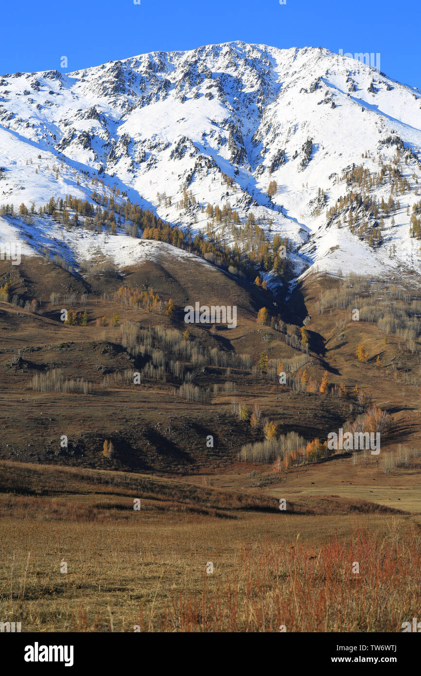 Autumn color of grasses Stock Photo - Alamy
