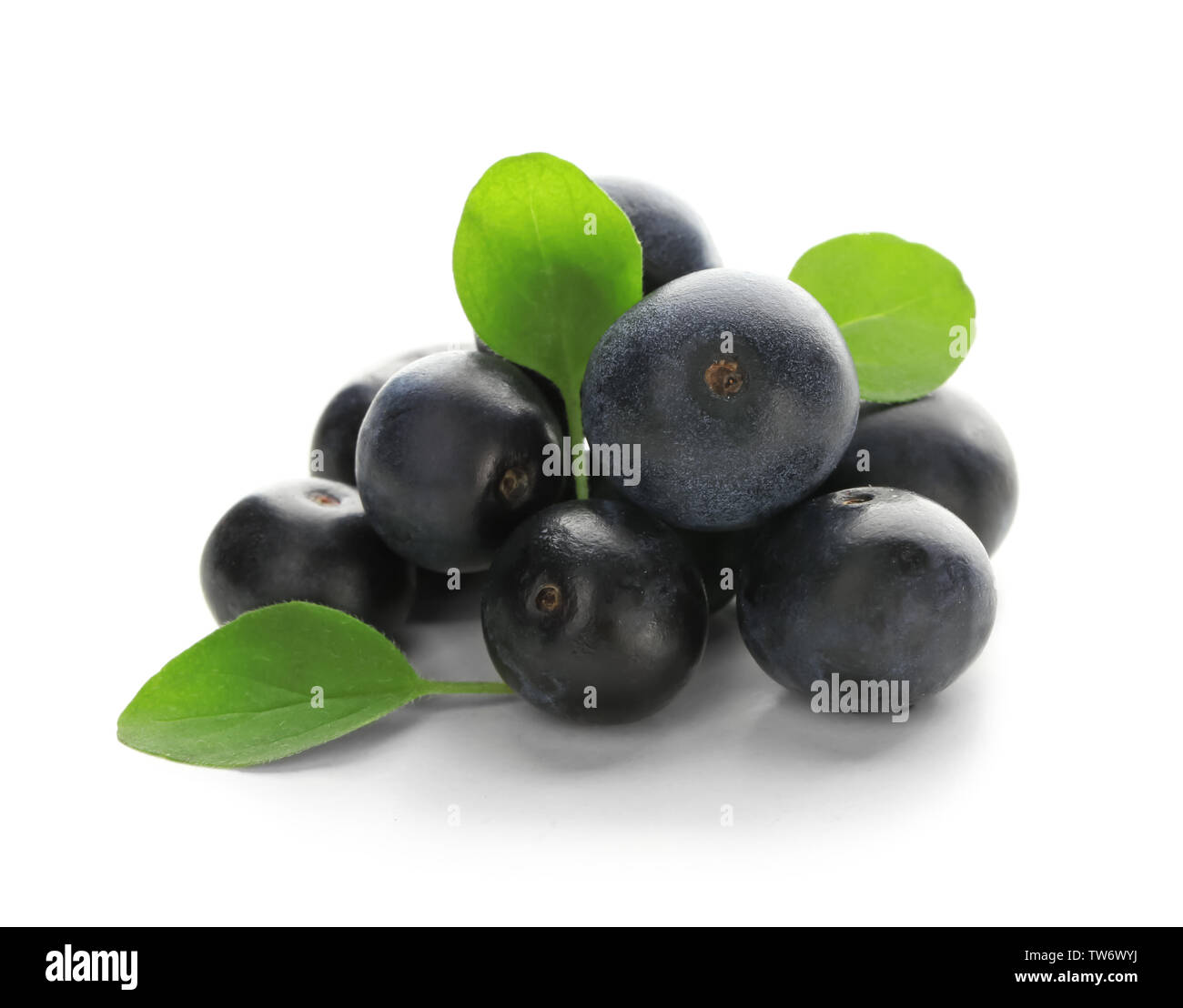 Acai berries with leaves hi-res stock photography and images - Alamy