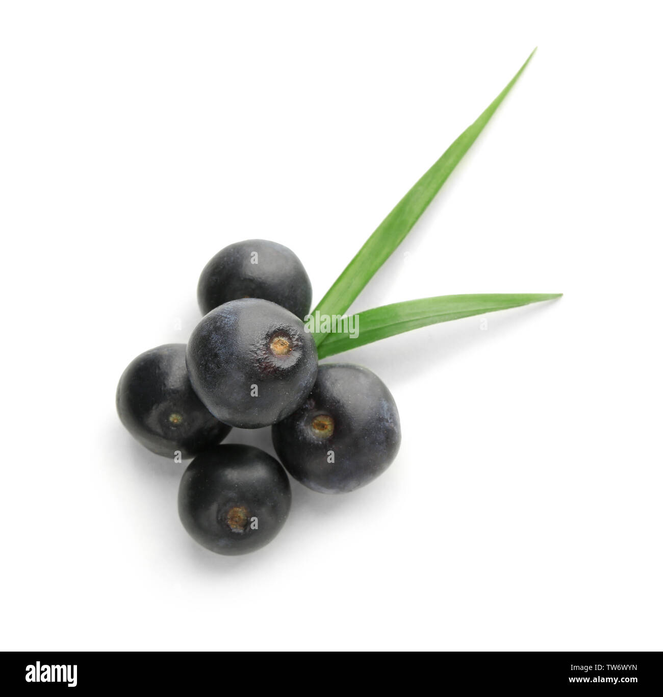 Fresh acai berries, isolated on white Stock Photo - Alamy