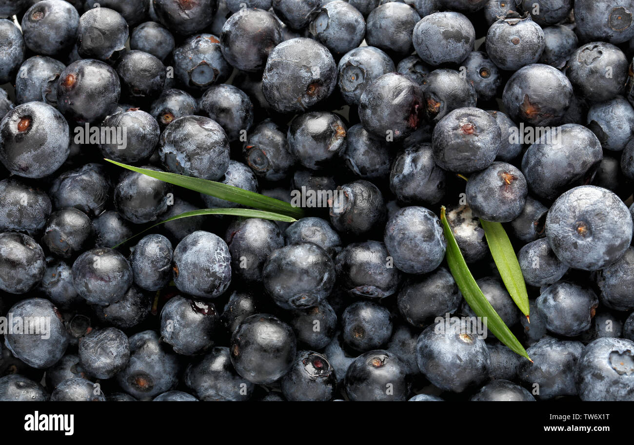 Acai berries with leaves hi-res stock photography and images - Alamy